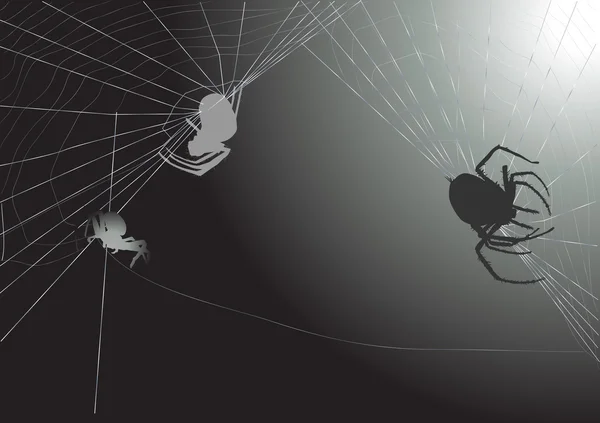 Three spiders in web illustration — Stock Vector © Dr.PAS #6650632