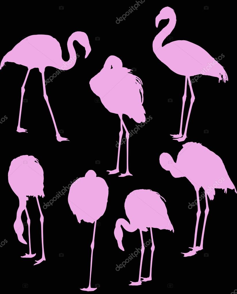 Pink flamingos silhouettes — Stock Vector © Dr.PAS #84193258