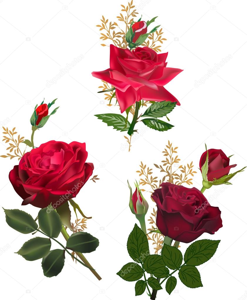 Three roses flowers Stock Vector by ©Dr.PAS 84203124