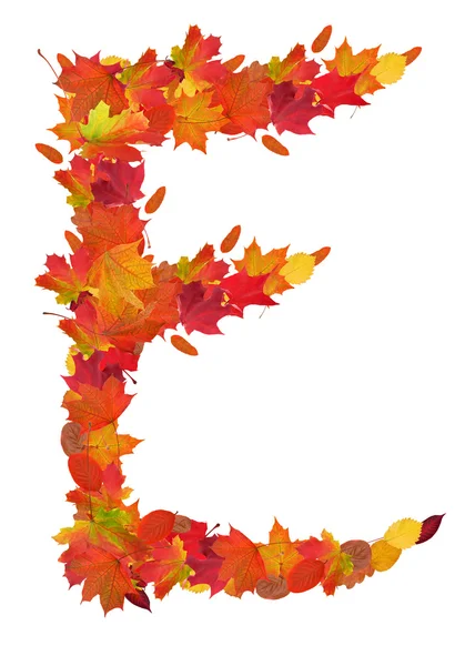 Letter S from autumn leaves Stock Photo by ©Dr.PAS 84250596