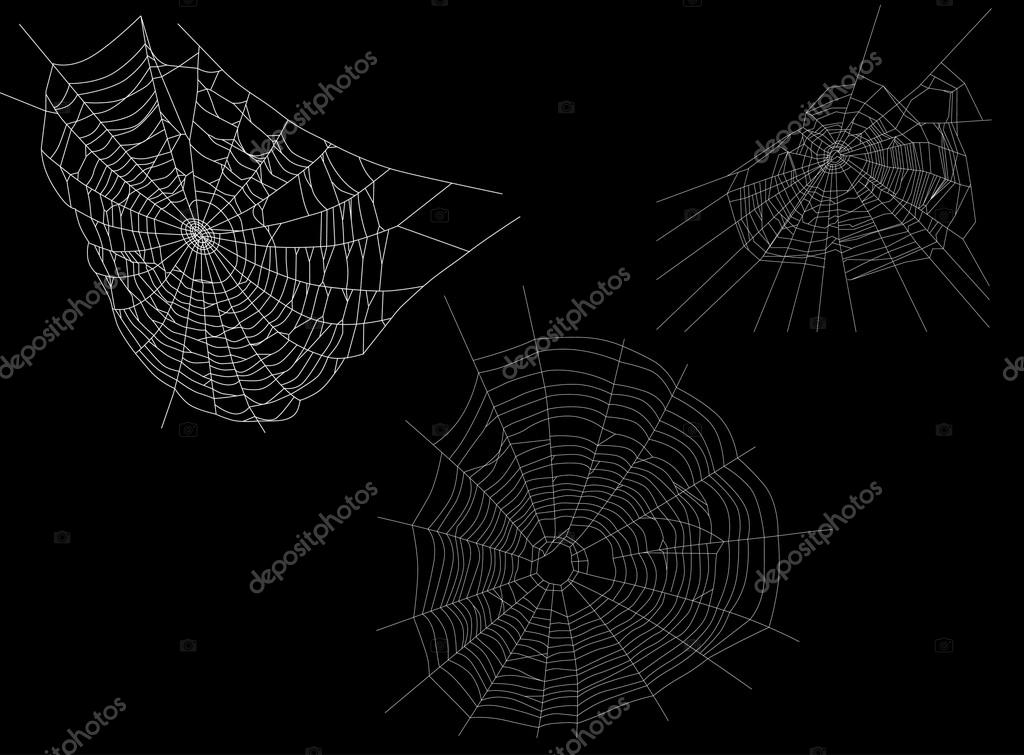 Light spider webs Stock Vector by ©Dr.PAS 84217122