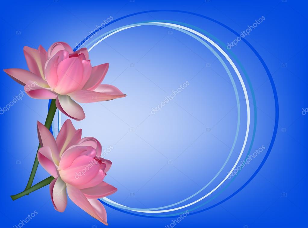 Lotus flowers with circle Stock Vector by ©Dr.PAS 84228530