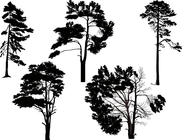 Tree silhouette collection — Stock Vector © Romul-2009 #7323005