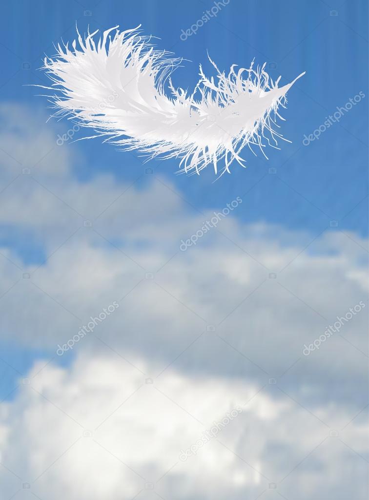 Single feather on blue sky Stock Vector by ©Dr.PAS #84239444