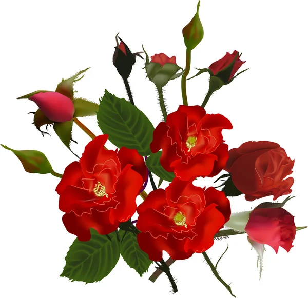 ᐈ Bunch of roses stock cliparts, Royalty Free bouquet of roses vectors ...