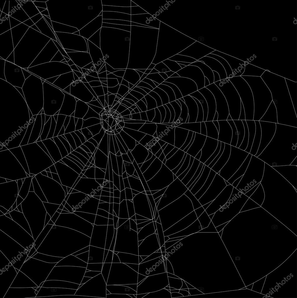 White Spider Web Png
