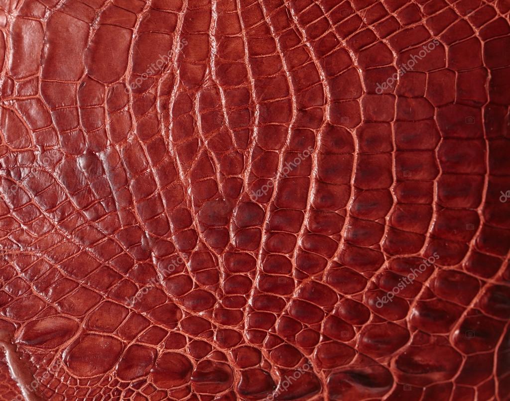 Red alligator leather Stock Photo by ©strelok 101412828