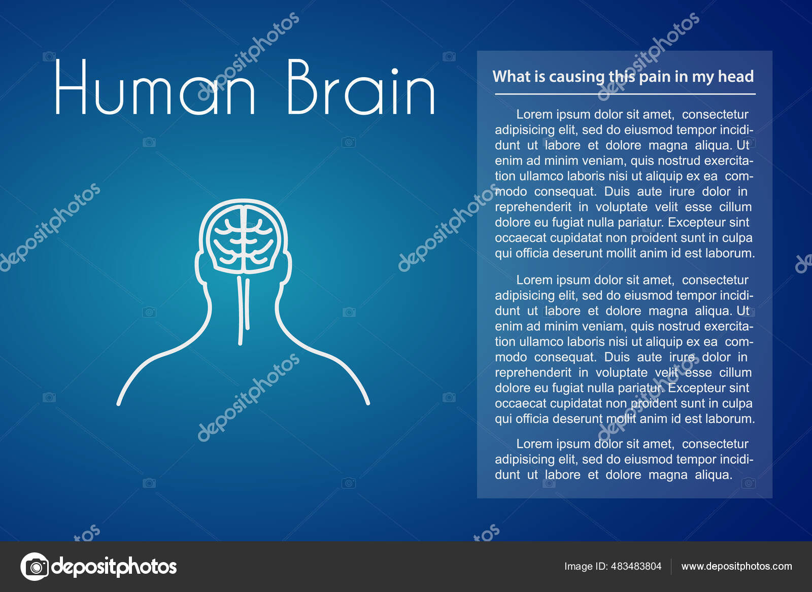 Vector Human Brain Blue Background Stock Vector Image by ©Roman_Volkov ...