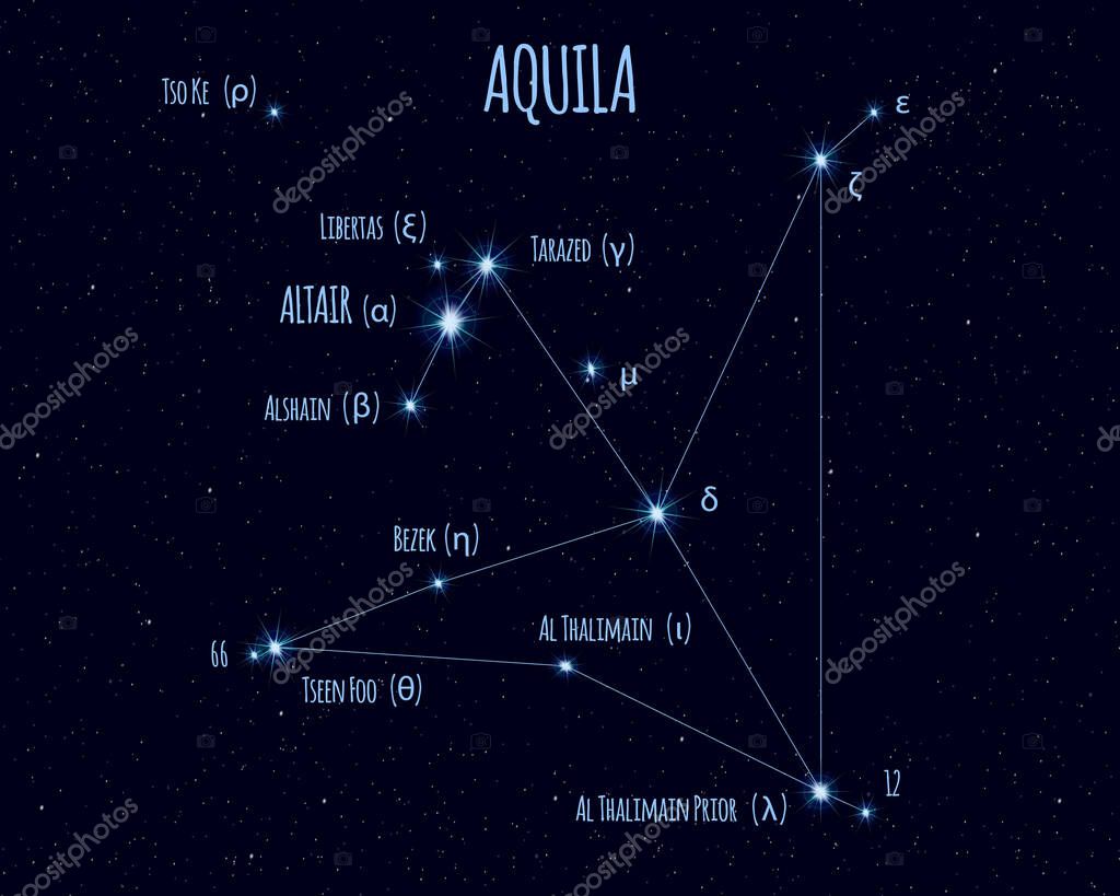 Constelación de Aquila (El Águila), ilustración vectorial con los ...