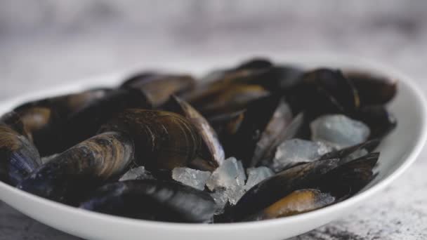 3,200 Mussels Videos, Royalty-free Stock Mussels Footage | Depositphotos