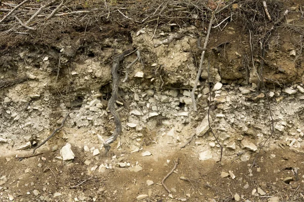 El subsuelo fotos de stock, imágenes de El subsuelo sin royalties ...