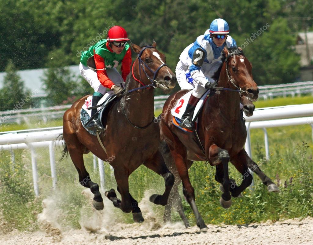 Horse racing. — Stock Photo © mikle15 #82108672