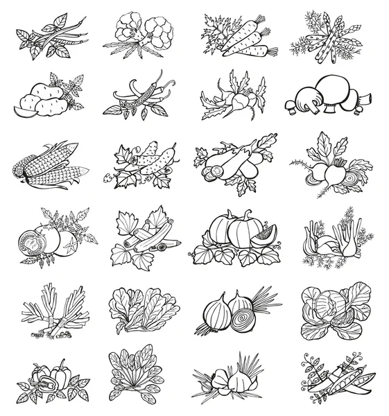 Hand drawn decorative vegetables Vector Art Stock Images | Depositphotos
