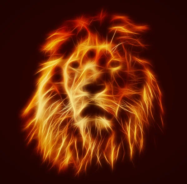 Lion with Fire flames fur — Stock Photo © Photocreo #63995461