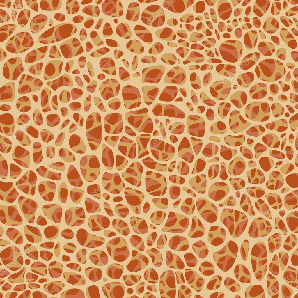 Abstract background, bone structure, vector Stock Vector by ©wawritto ...