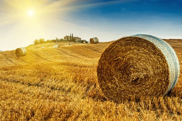 pershing Portfolio: Stock Photos, Vectors, Video, Audio | Depositphotos