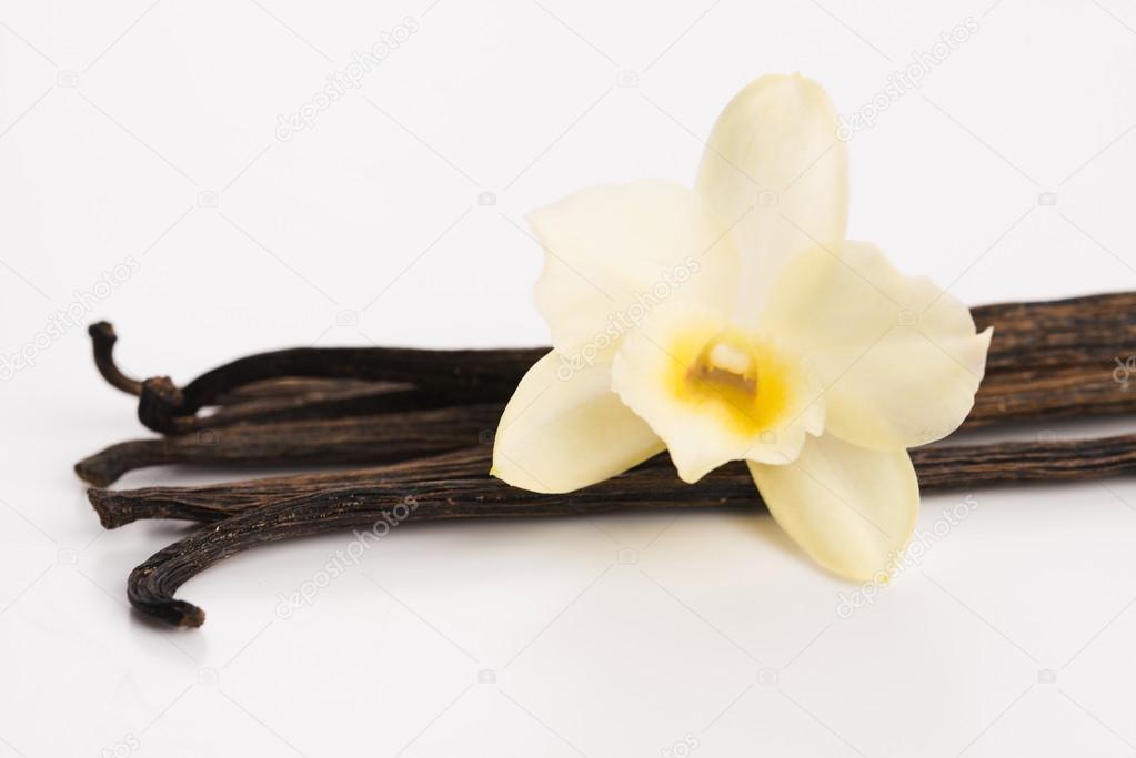 Vanilla pods Stock Photo by ©joannawnuk 81517476