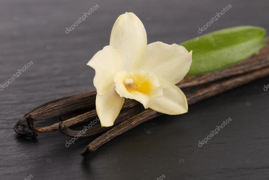 Vanilla pods — Stock Photo © joannawnuk #81975184