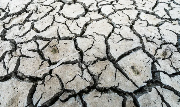 Grey cracked ground texture - Stock Image - Everypixel