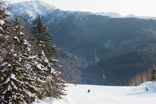 Winter mountain landscape Sakhalin island. - Stock Image - Everypixel