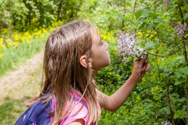 Discovering in nature Stock Photos, Royalty Free Discovering in nature ...