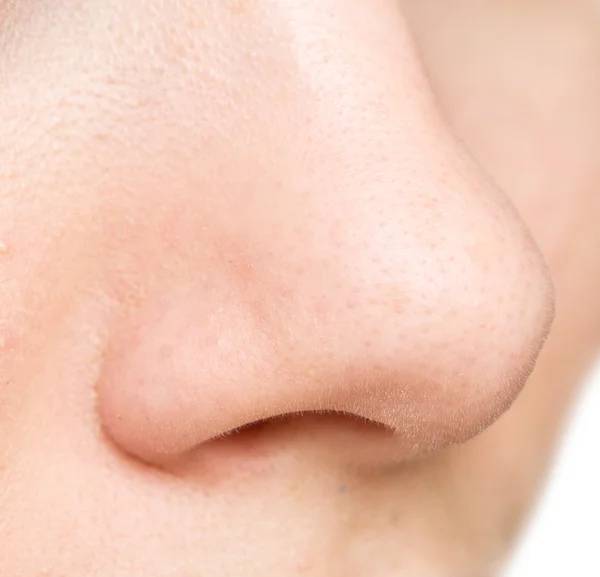 Anatomy of nose Stock Photos, Royalty Free Anatomy of nose Images ...