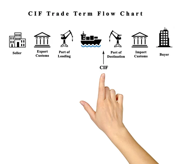 Cif Stock Photos, Royalty Free Cif Images | Depositphotos®