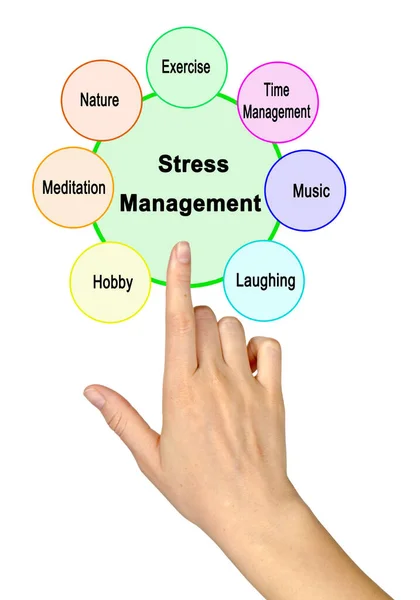 Stress management mind map Stock Photos, Royalty Free Stress management mind map Images ...
