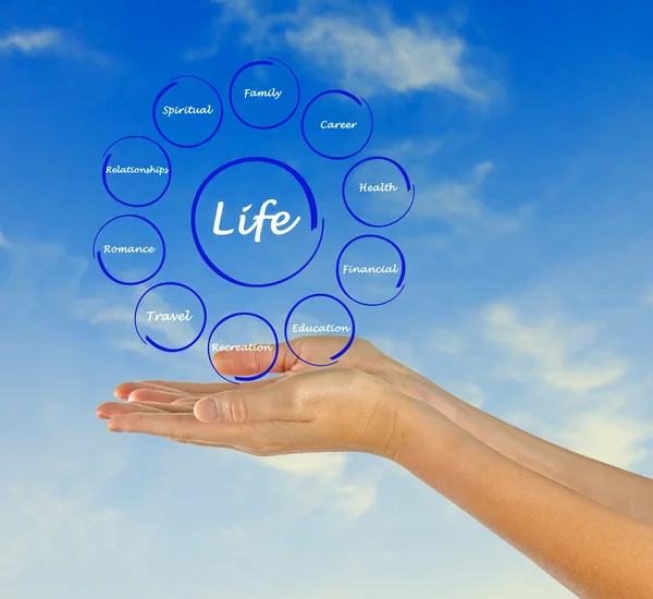 Diagram of life — Stock Photo © vaeenma #48427571