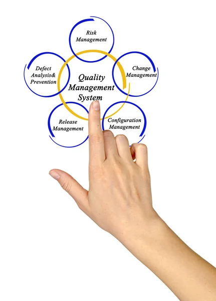 Quality management system Images - Search Images on Everypixel