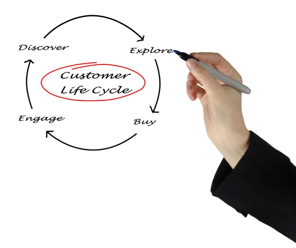 Customer lifetime cycle Stock Photos, Royalty Free Customer lifetime ...