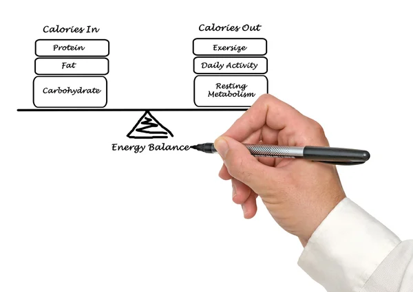 Balance between Energy intake and Energy expenditure - Stock Image ...
