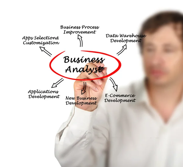 Business analyst Stock Photos, Royalty Free Business analyst Images ...