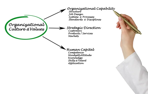 Organizational values Stock Photos, Royalty Free Organizational values ...