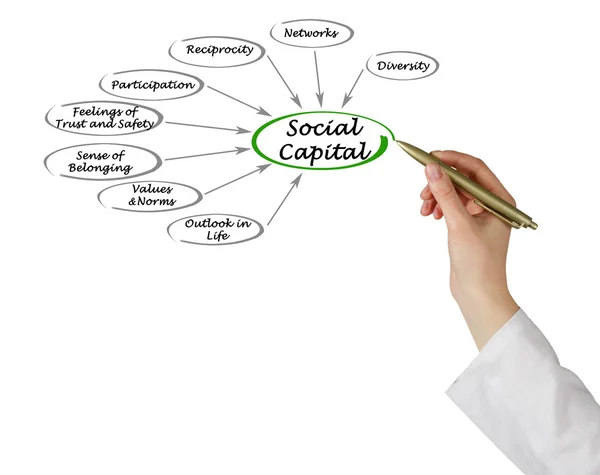 Social Capital - Stock Image - Everypixel
