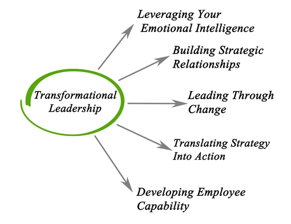 Diagram of Transformational Leadership — Stock Photo © vaeenma #95320844