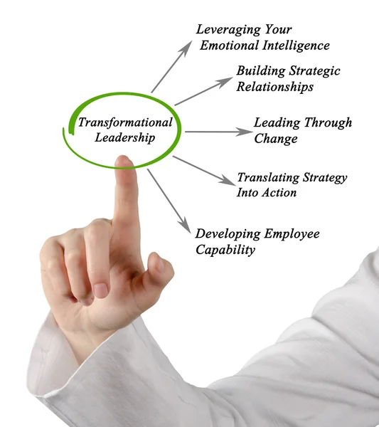 Transformational leadership Stock Photos, Royalty Free Transformational ...