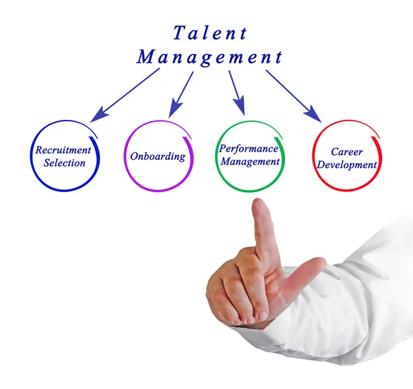 16,171 Talent management Images - Free & Royalty-free Stock Talent ...