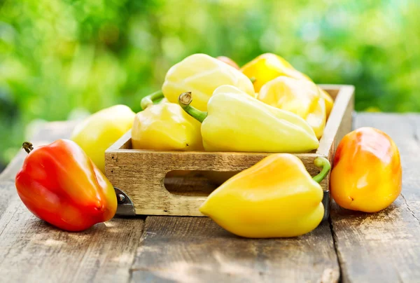 Peppers in the wooden box - Stock Image - Everypixel