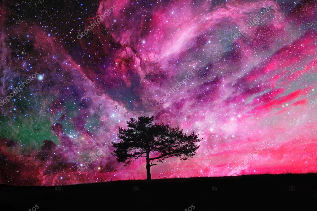 Space tree background Stock Photo by ©sliper84 79805534