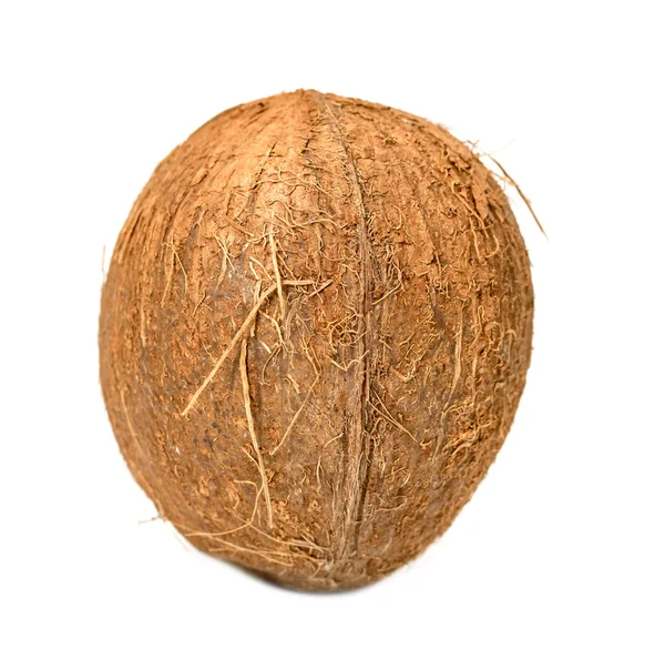 Real coconut Stock Photos, Royalty Free Real coconut Images | Depositphotos