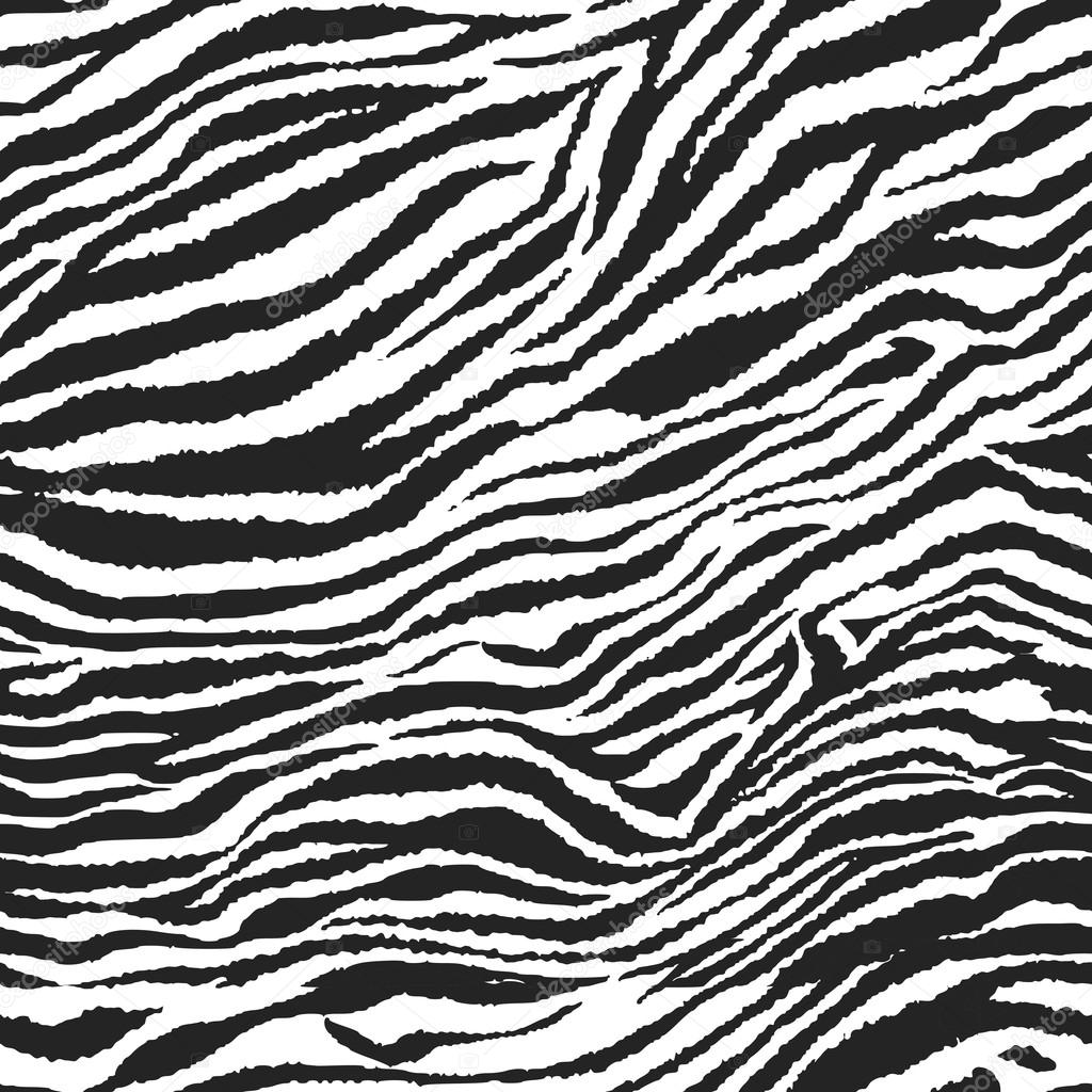 Zebra Pattern Vector