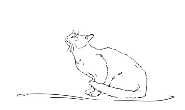 Drawing White Cat Furtively Looking Side View Hand Drawn Illustration ...