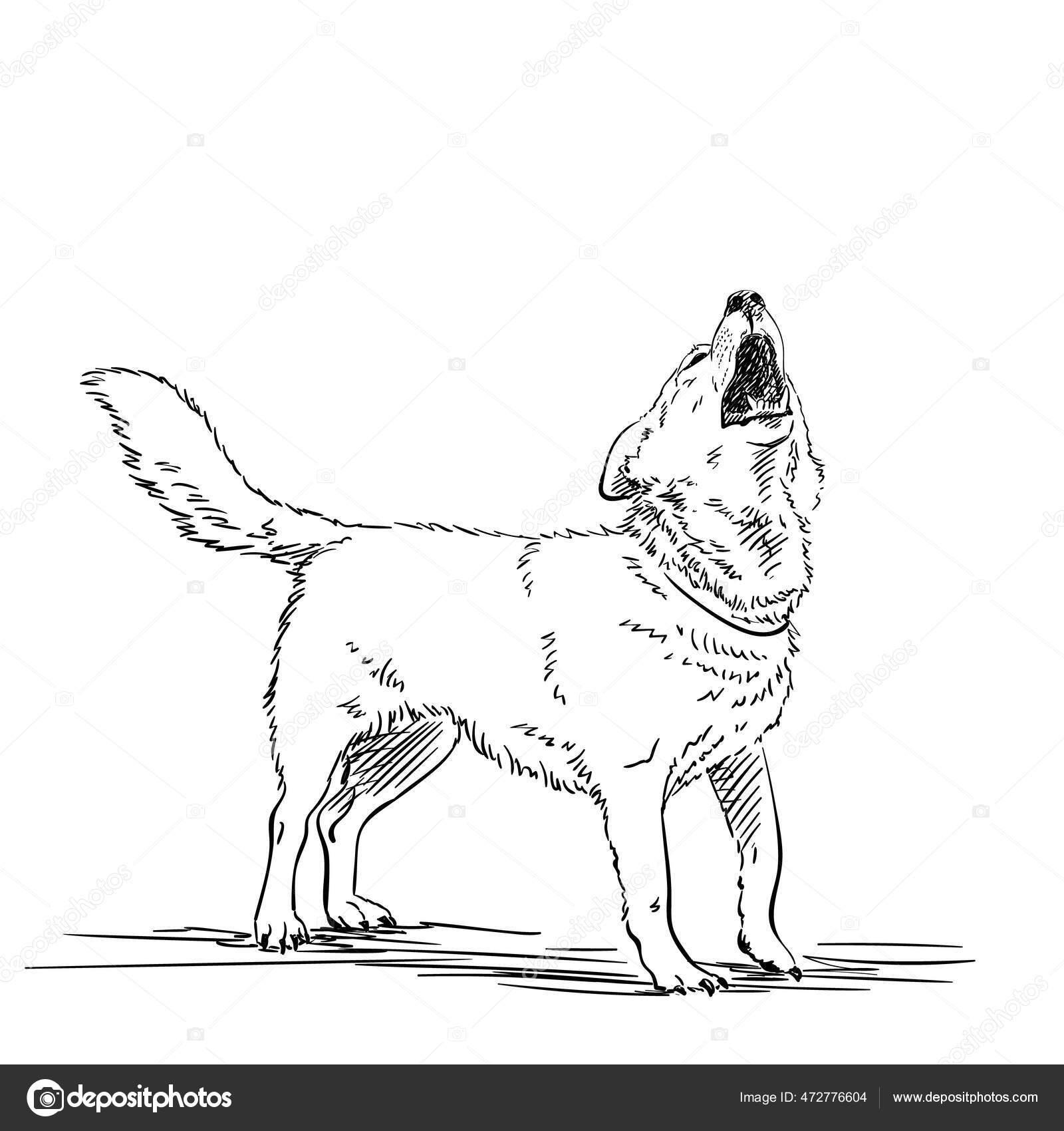 Silueta De Perro Aullando Aullando Png Imágenes | PNGWing