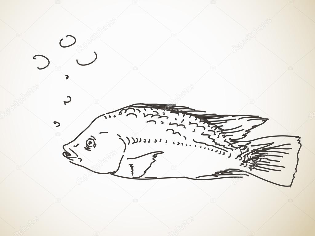 Hand drawn Sketch of fish Stock Illustration by ©OlgaTropinina #66487623