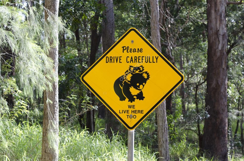 Koala Road Sign