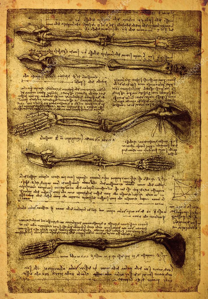 Old anatomy drawings — Stock Photo © janaka #53176233