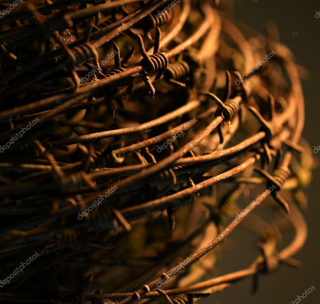 Twisted barb wire — Stock Photo © janaka #53298055