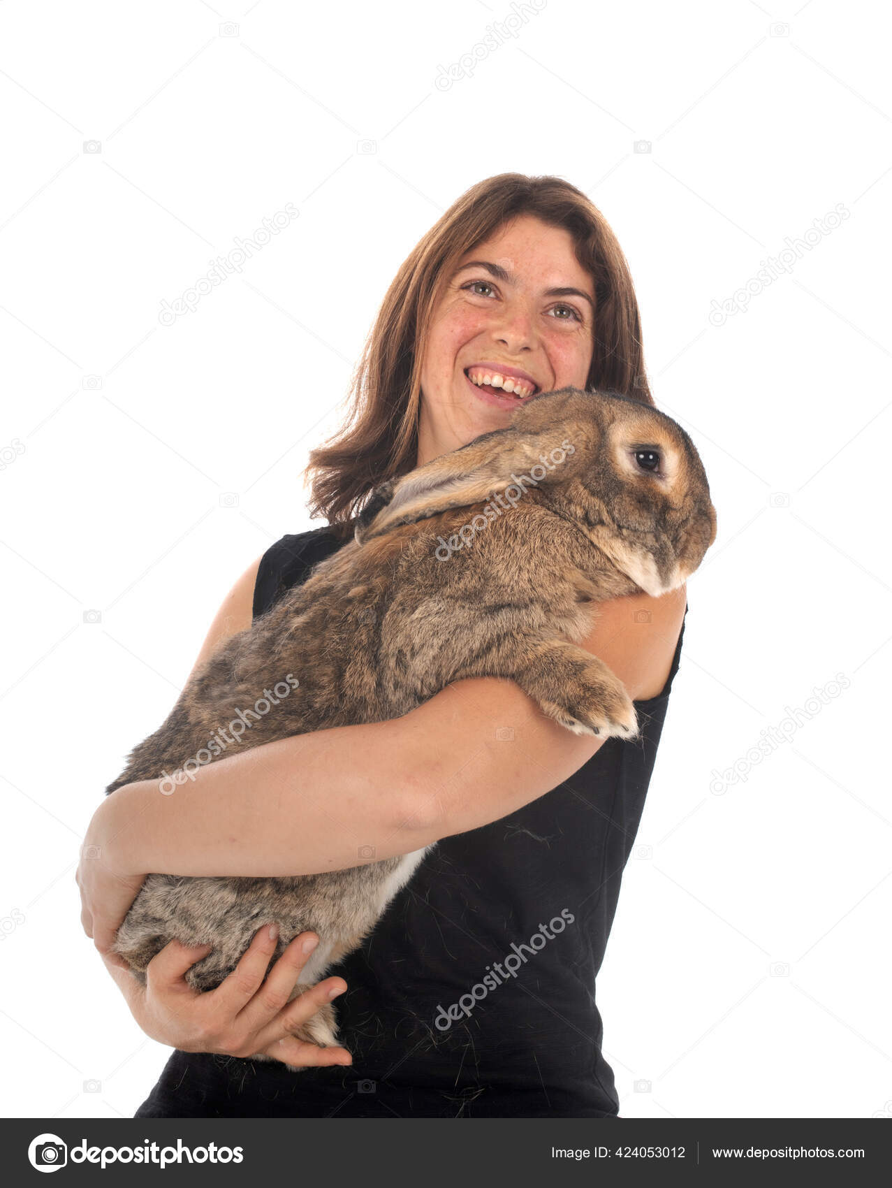 Flemish Giant Rabbit Woman Front White Background Stock Photo by ...