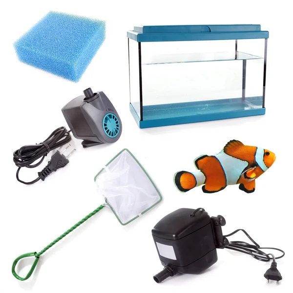 Aquarium equipment Stock Photos, Royalty Free Aquarium equipment Images ...